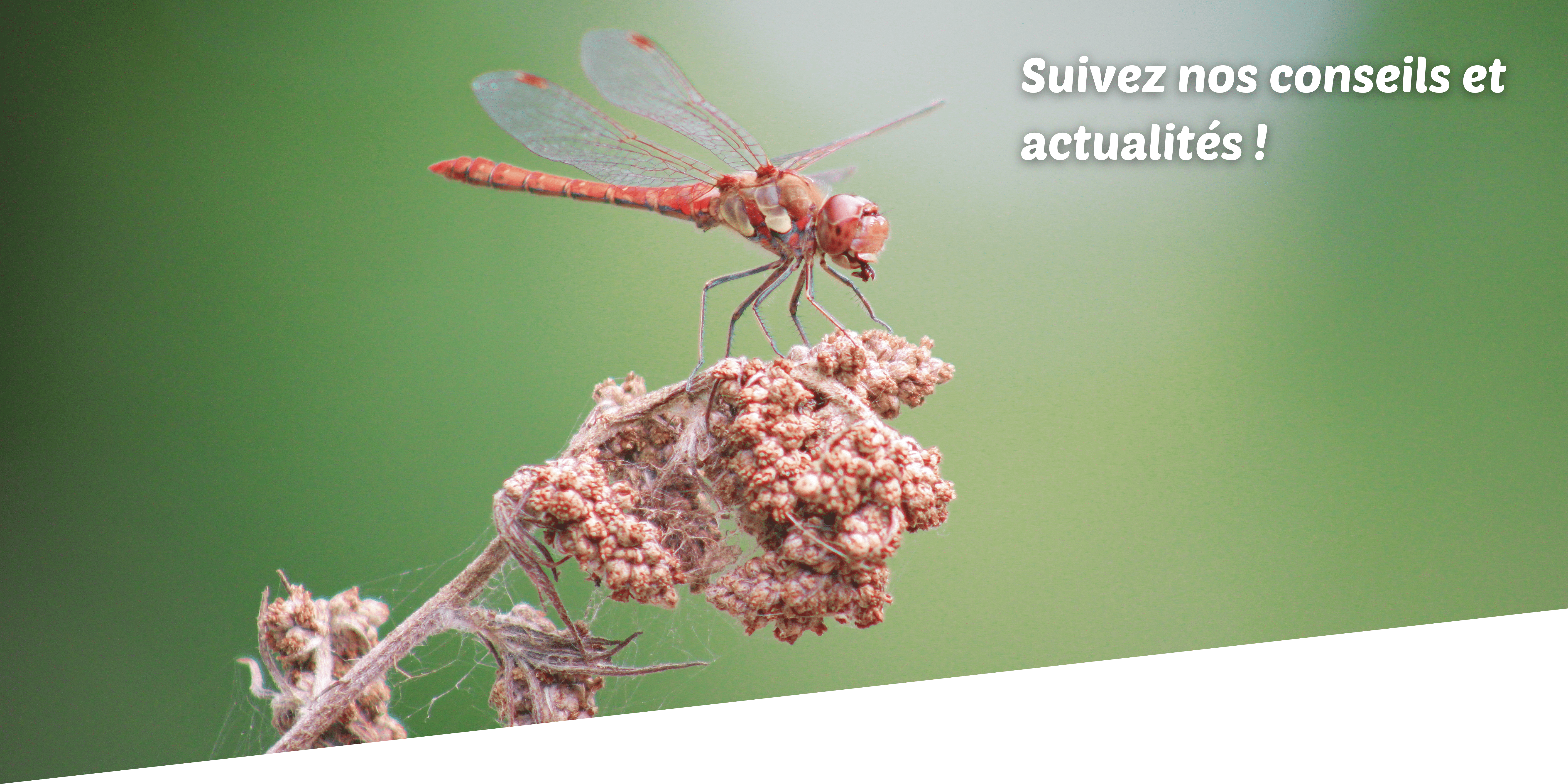 Accueil - Guide de l'EcoUrbain